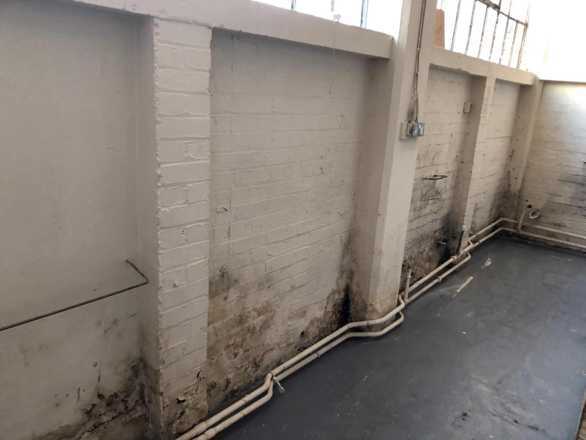 Recent Damp Proofing Treatments - Crystal Damp Proofing & Basements Ltd